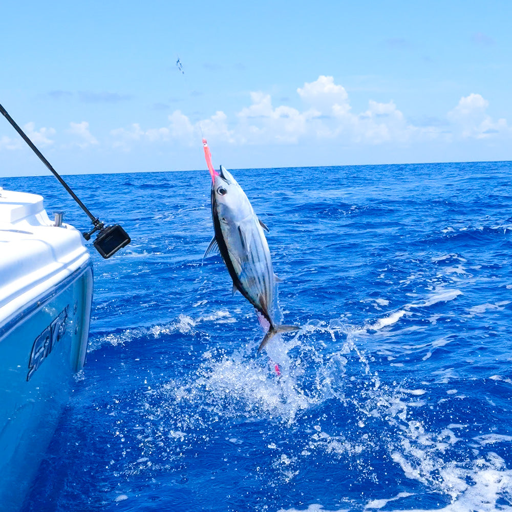 Tuna Striker Fishing Lure – Bar Jacks